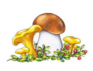 Pedagogisk planering i Skolbanken: Svampar