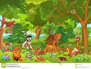 Skolbanken · Djuren i skogen