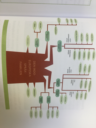 Skolbanken · Svenska språket