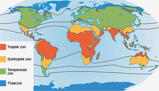 Pedagogisk planering i Skolbanken: Klimatzoner