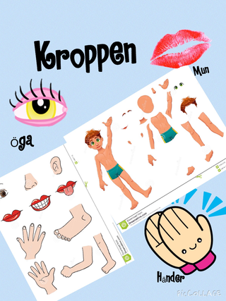 Skolbanken · Tema Kroppen (åk 2)