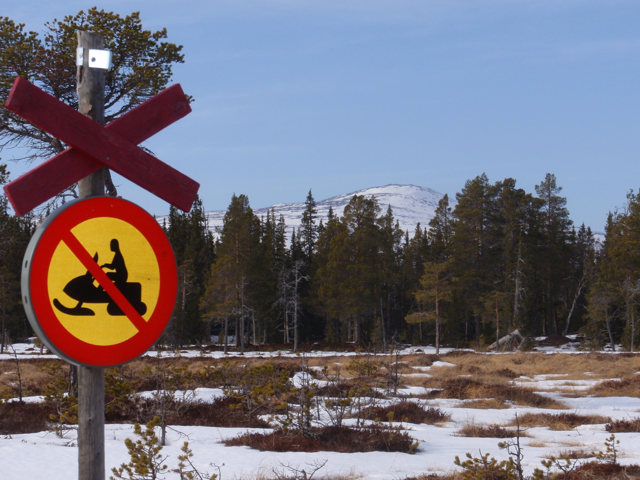 Skolbanken · planering tk vt-18