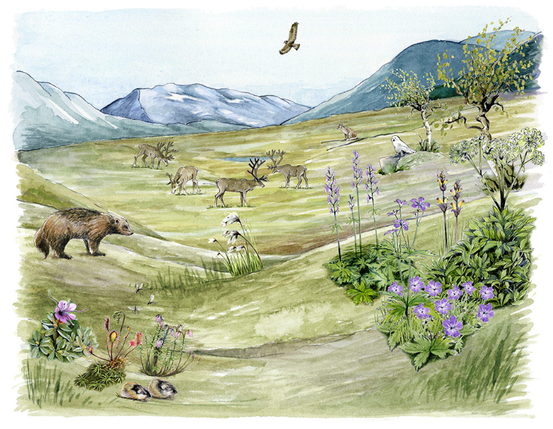 Skolbanken · Ekosystem