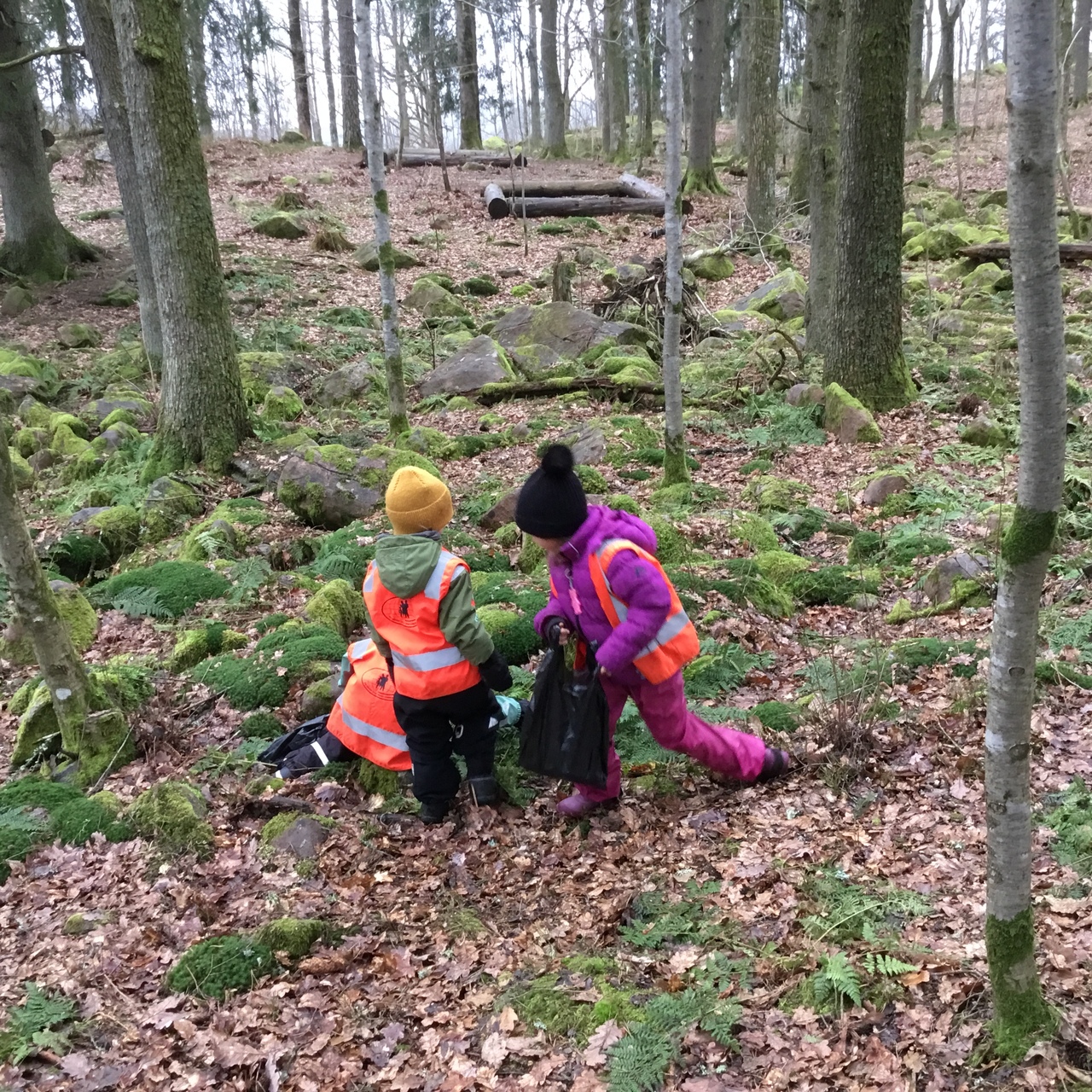 Skolbanken · Spontan och planerad skogsaktivitet med inspiration från boken” vem ser Dim.