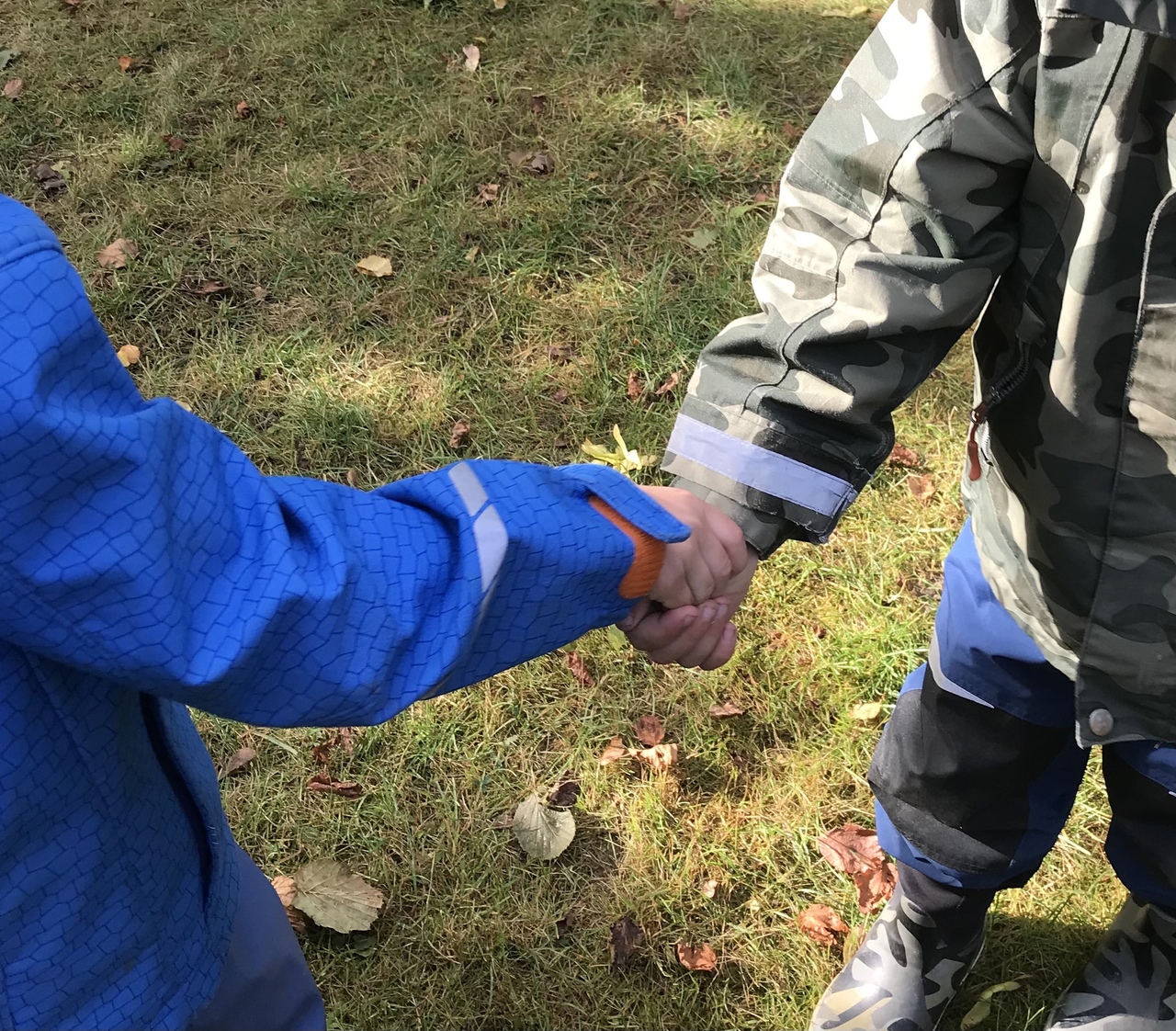 Skolbanken · Hälsa, rörelse och välbefinnande!