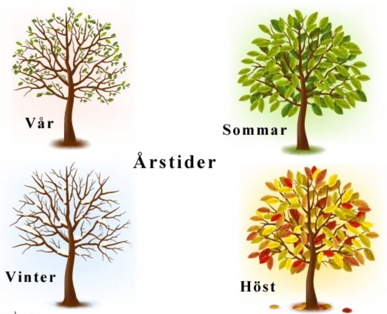Pedagogisk planering i Skolbanken: Året/månader/årstider/veckodagar och ...