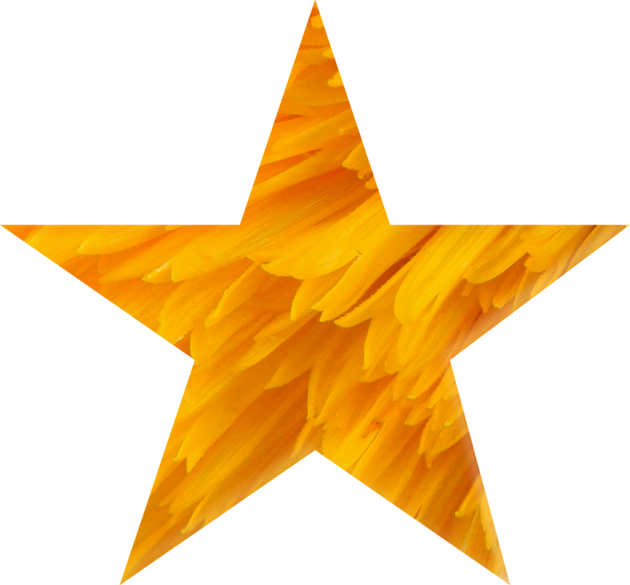 Skolbanken · Vansinnigt Intressanta Personer - VIP