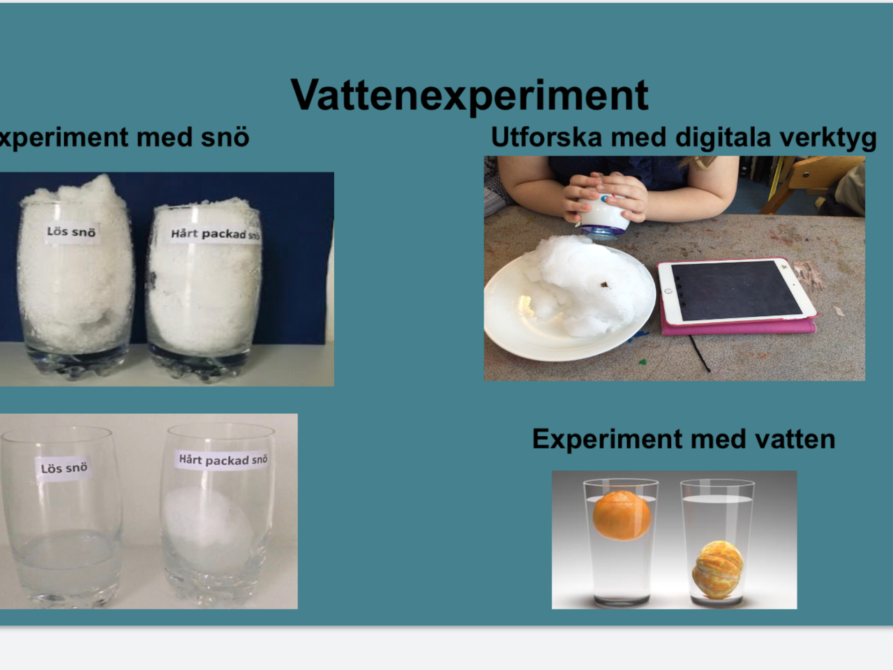Skolbanken · Vattenexperiment Grön flagg tema hav och vatten