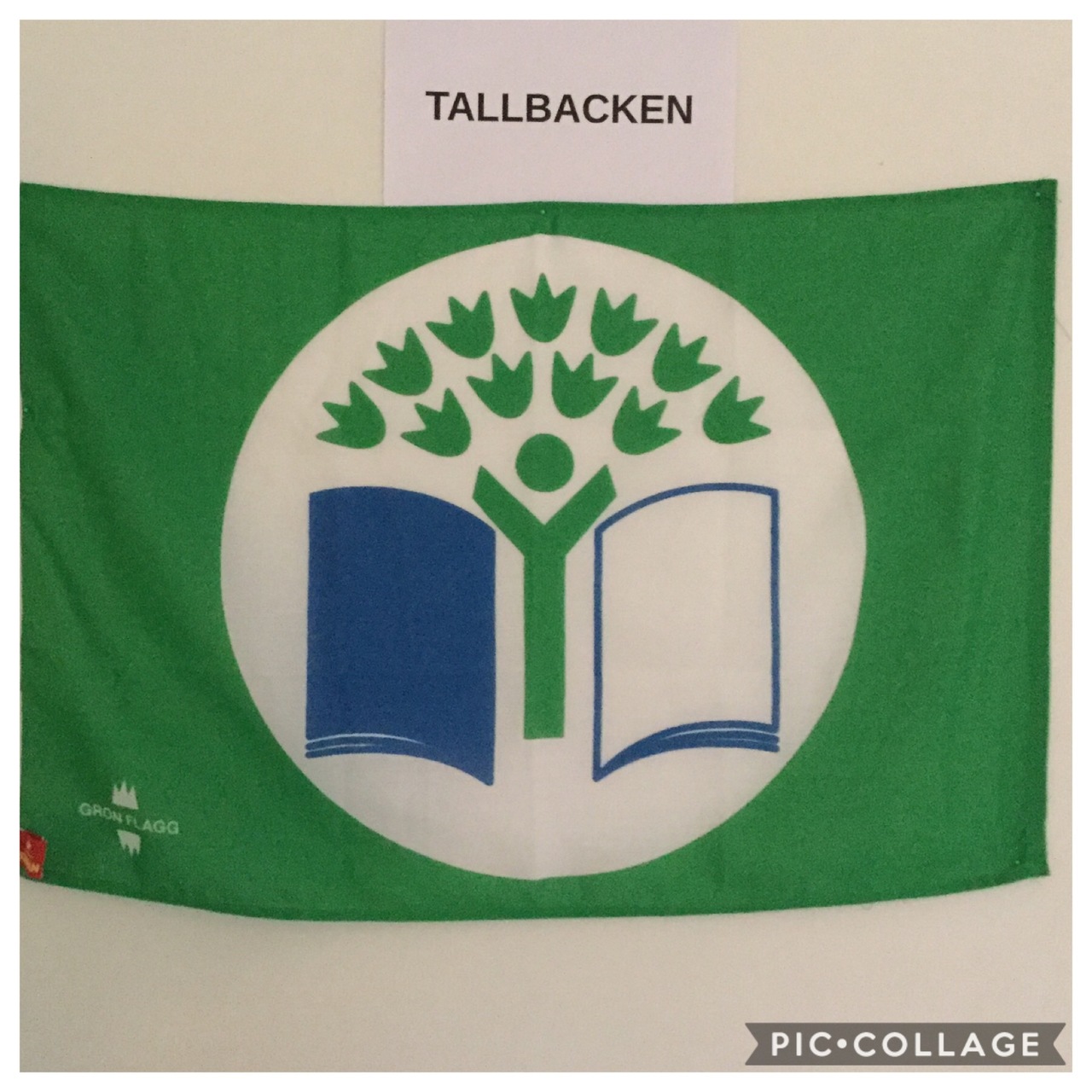 Pedagogisk Planering I Skolbanken Grön Flagg