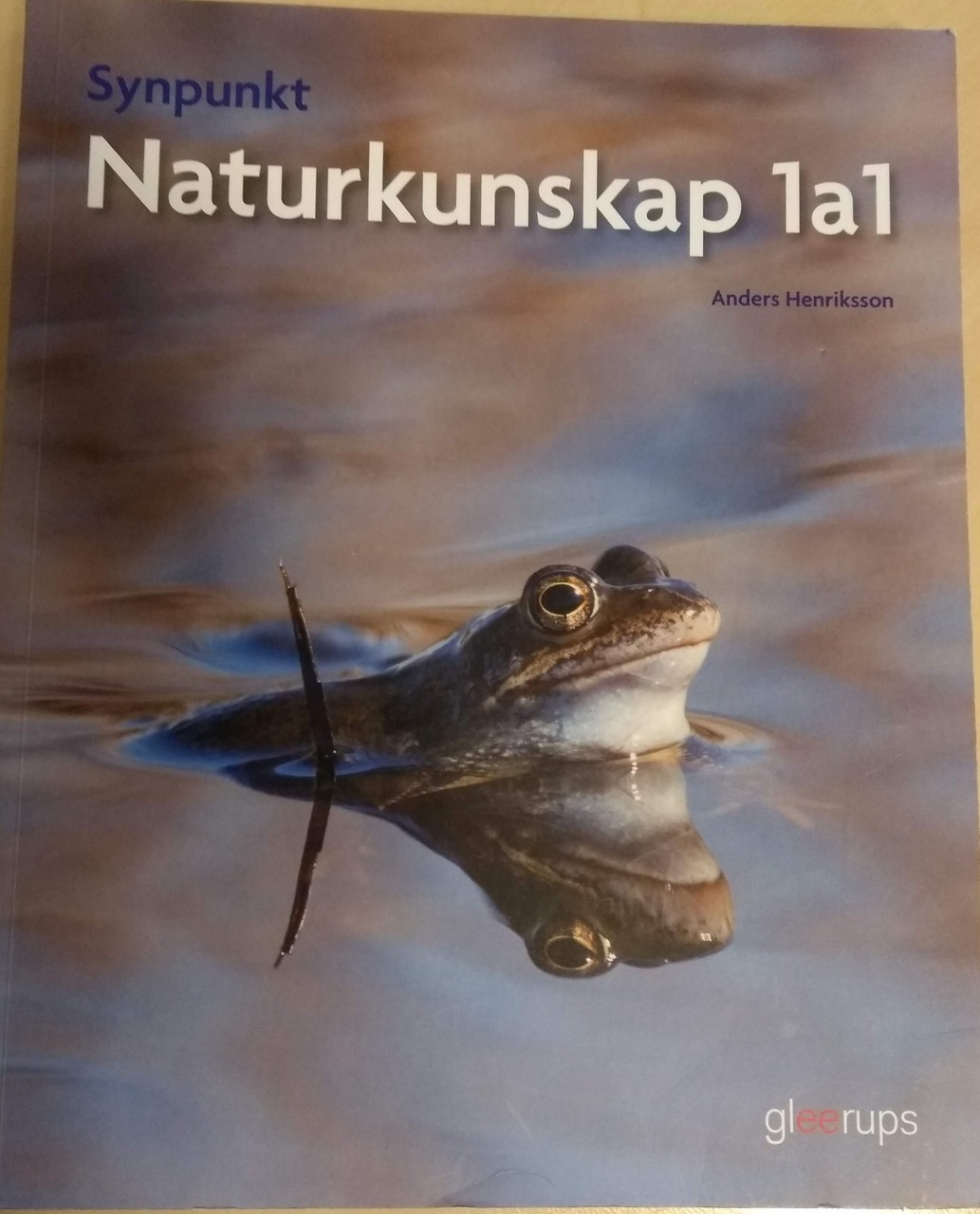 Skolbanken · Nk 1a1 aug 2022 - okt 2022 Komvux Flen