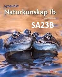 Skolbanken · PLANERING NK1b SA23B