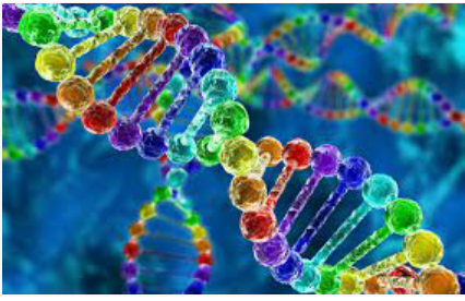 Skolbanken · Genetik och Genteknik