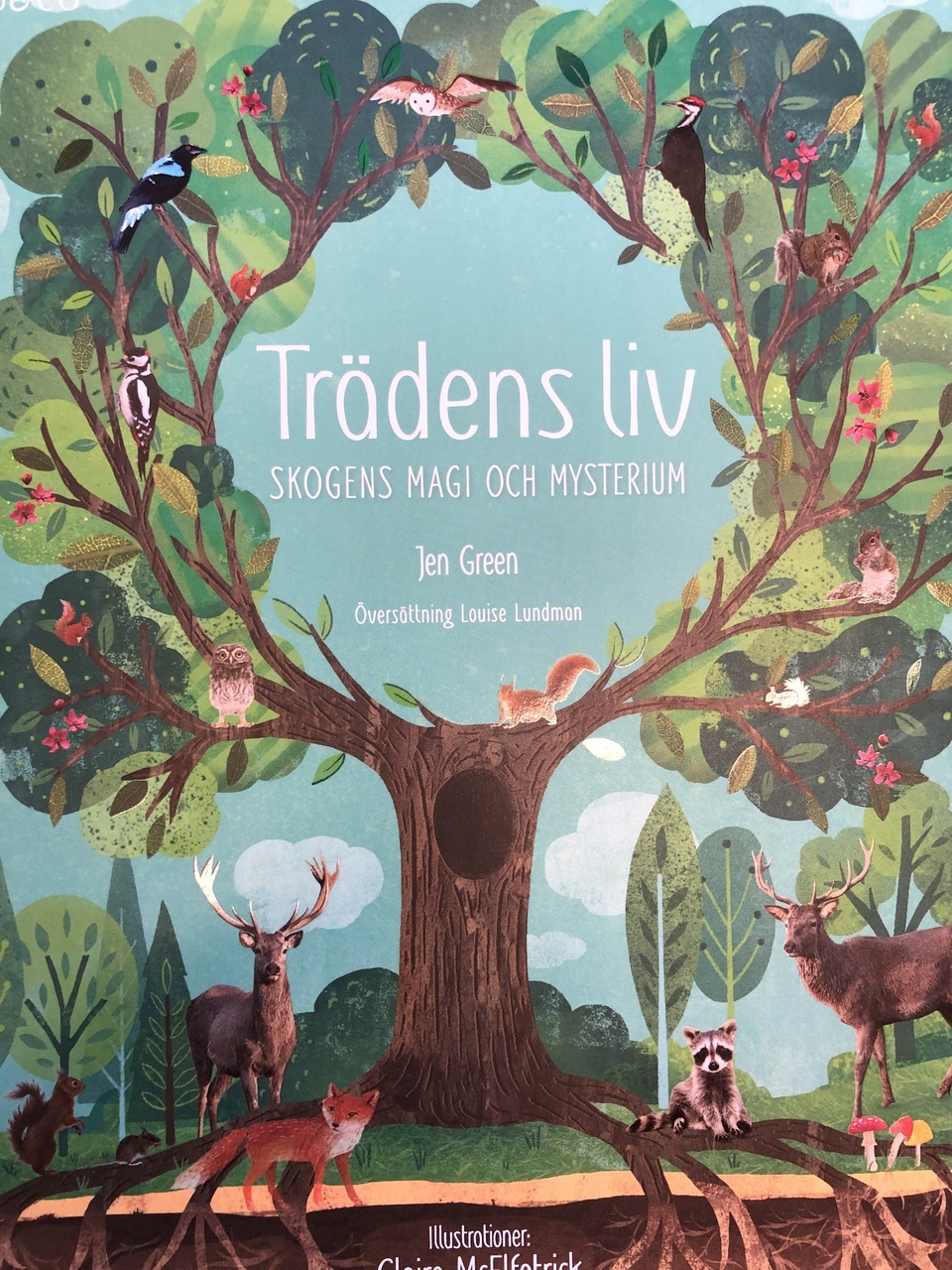 Skolbanken · Träd v. 11