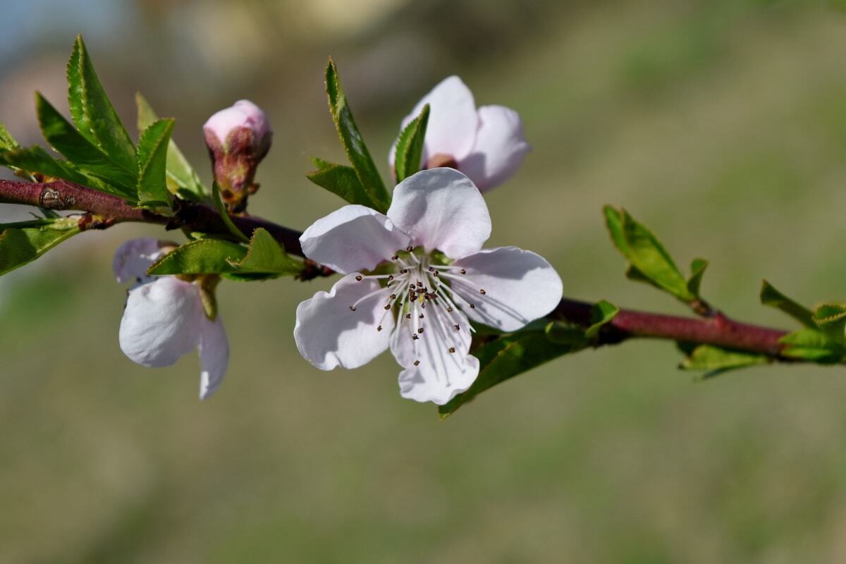 Skolbanken · Terminsplanering Vt. 22 7-9