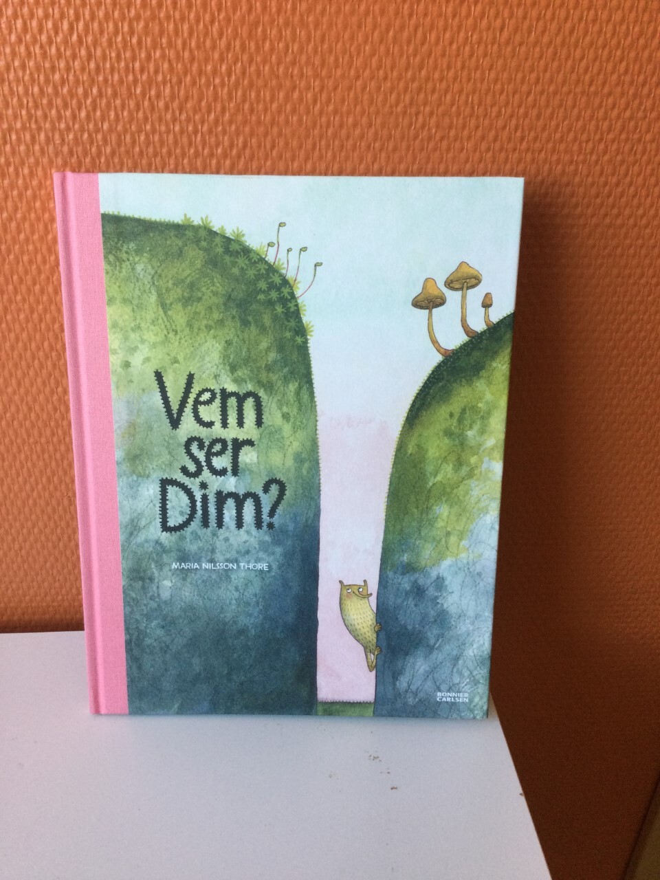 Pedagogisk planering i Skolbanken: "Vem ser Dim" - tillgängligt lärande ...