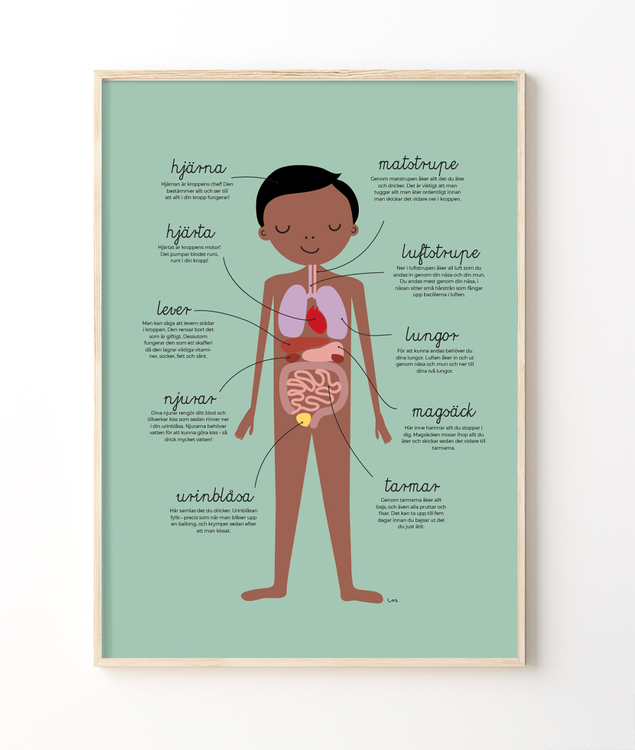 Skolbanken · Tema kroppen 1