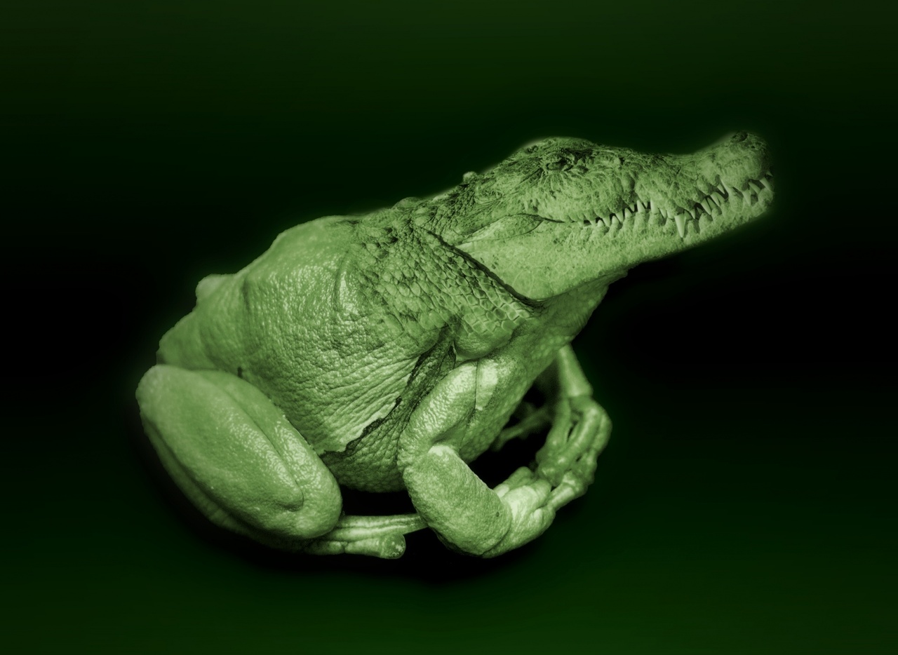 Skolbanken · ÖVERSIKTSPLANERING Vt-21