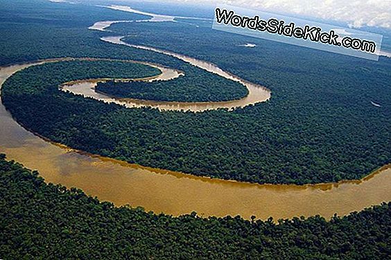 Skolbanken · Språket TIGRINJA! NILEN och den didaktiska boken "Sofias ...