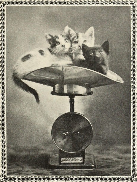 Skolbanken · Kapitel 3 Tal och enheter