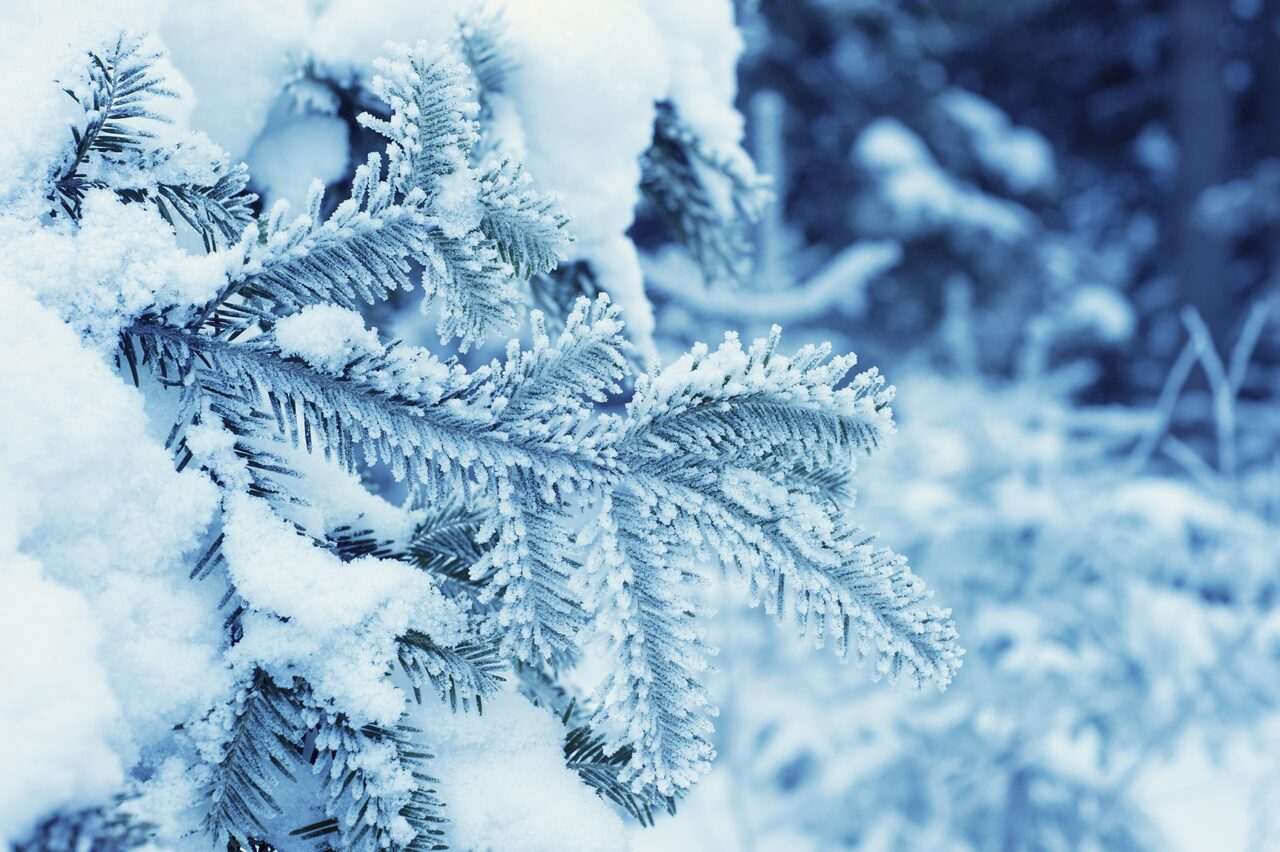 Skolbanken · Vinter årskurs 1