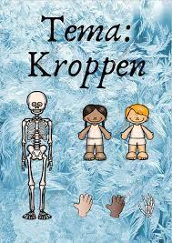 Skolbanken · Kroppen