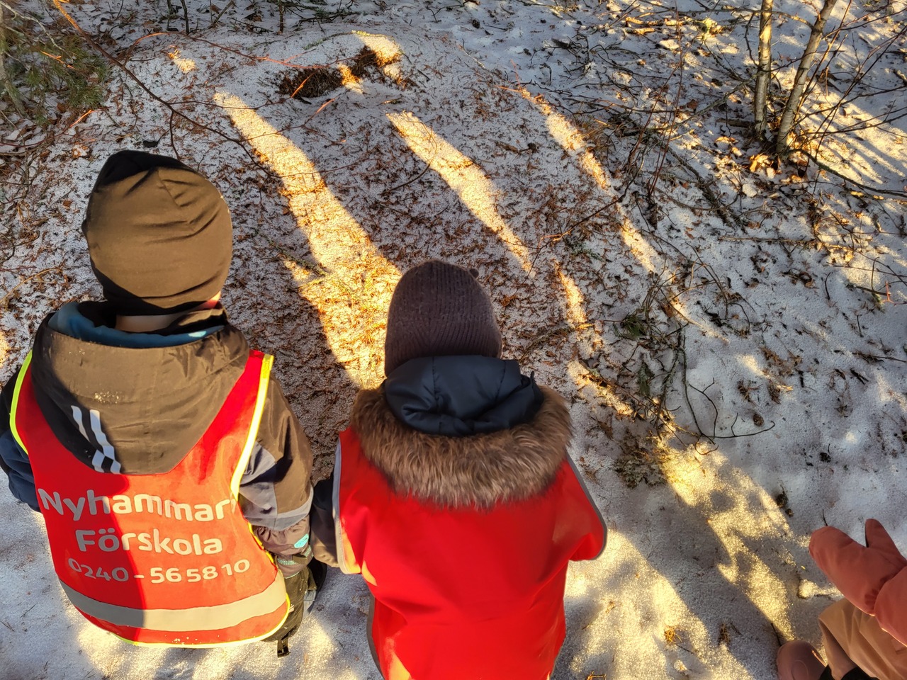 Skolbanken · Skogen VT-24