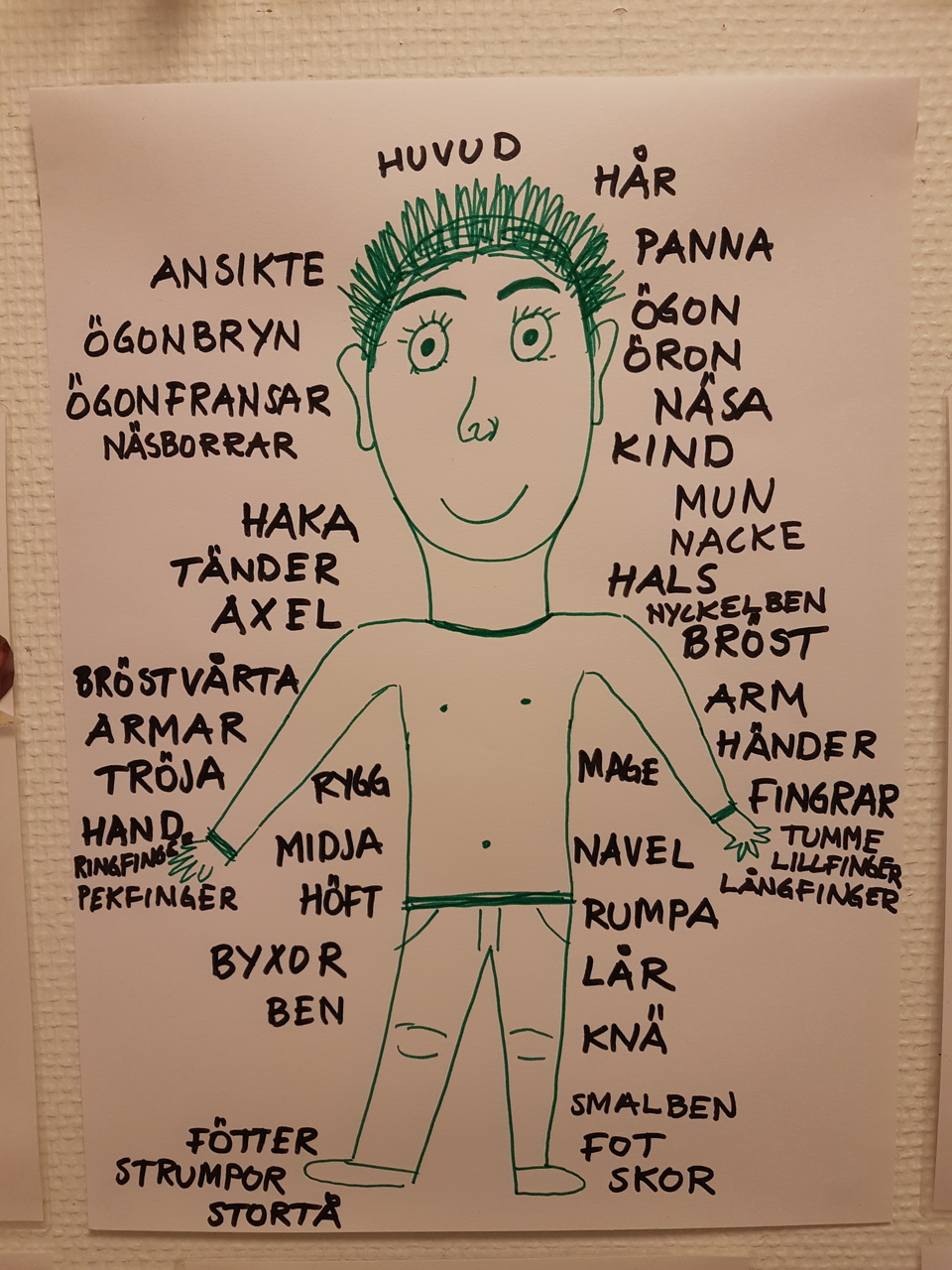 Skolbanken · Tema Kroppen