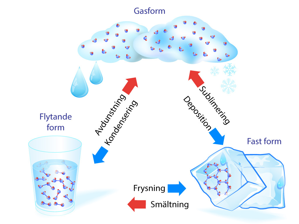 Skolbanken · Vattentema