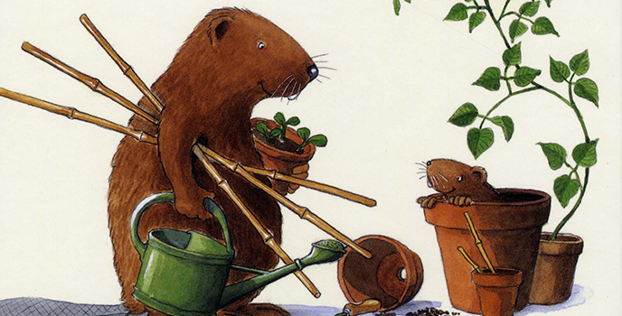 Skolbanken · Castor odlar