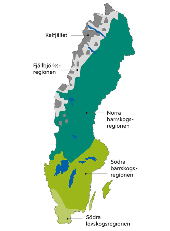 Skolbanken · RSGR Geografi åk 4