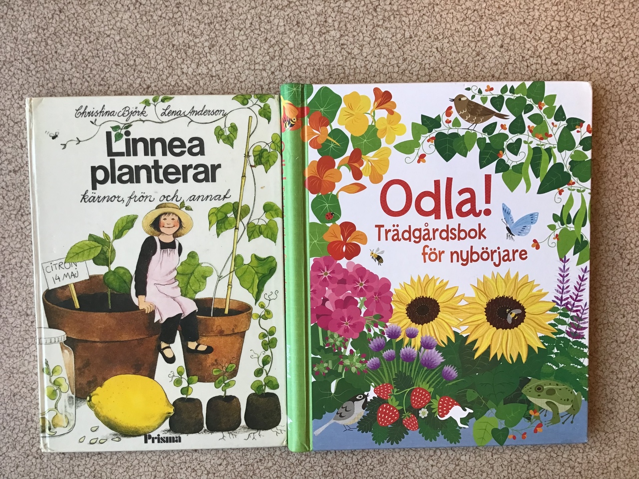 Pedagogisk Planering I Skolbanken ”pedagogisk Planering Lärområden