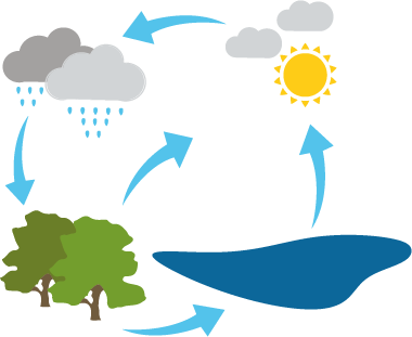 Skolbanken · Tema Vatten och Kretslopp