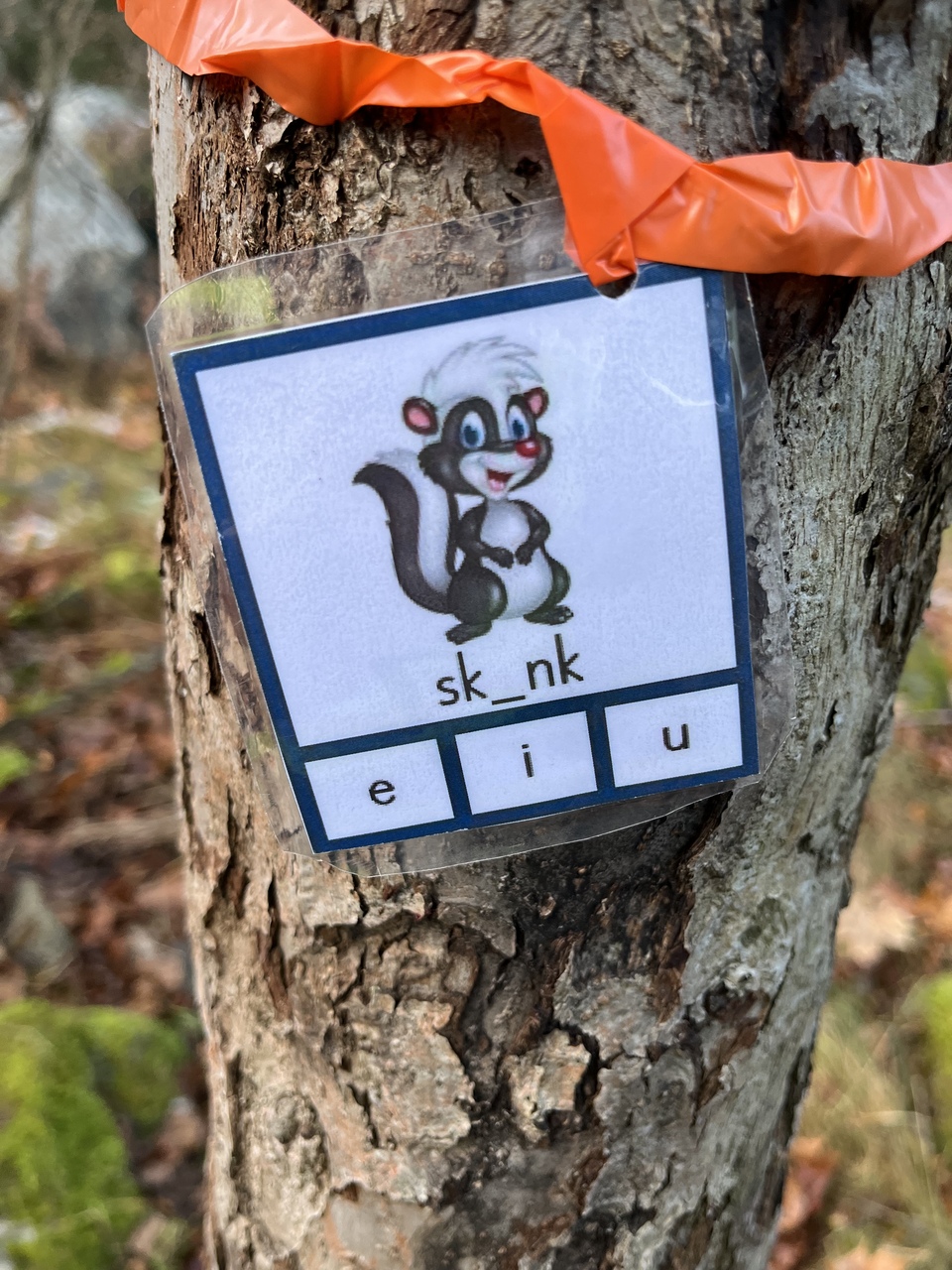 Skolbanken · Äventyrspedagogik-svenska v 46-48 2022.