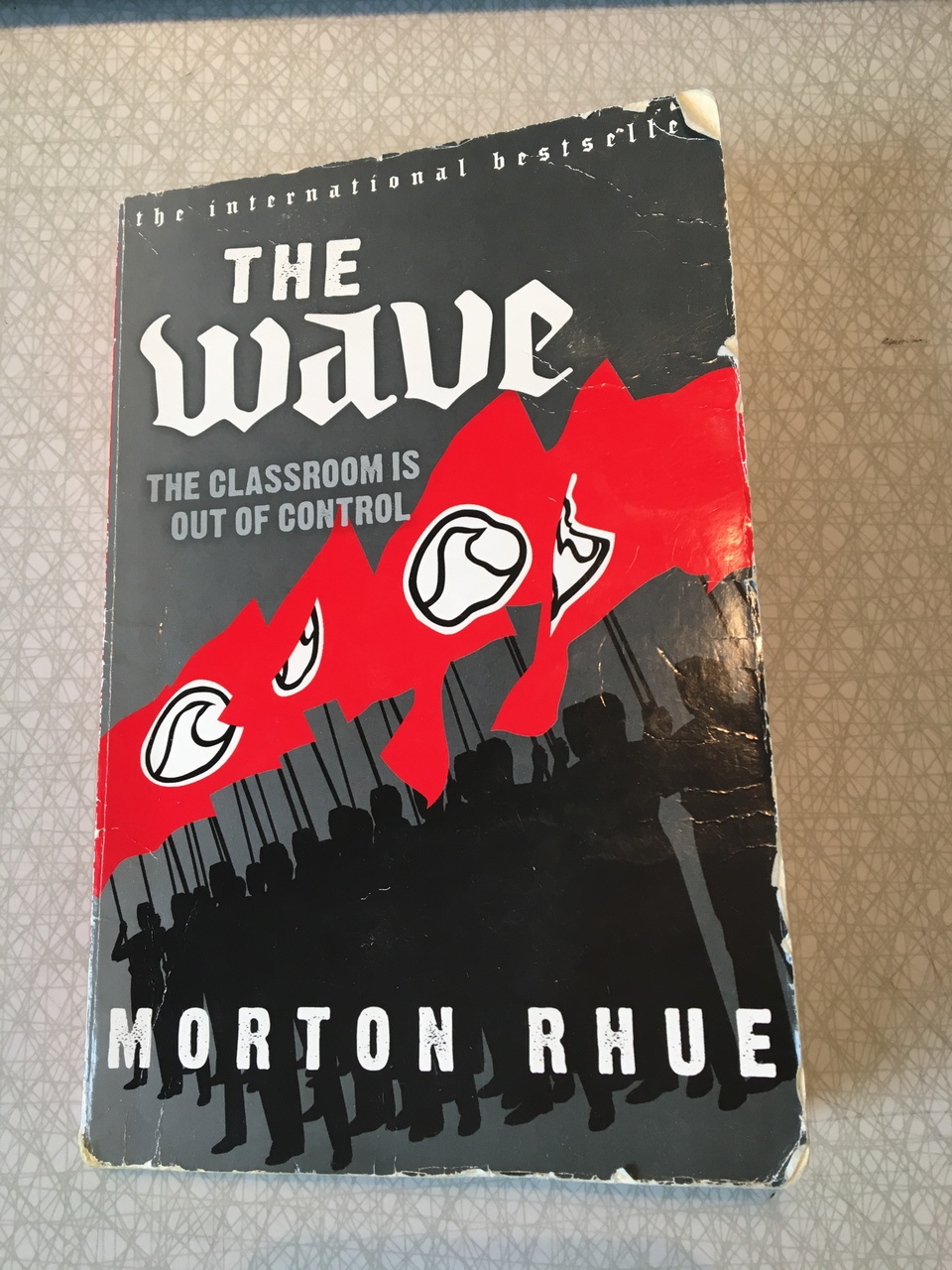 Reading a novel "The Wave"