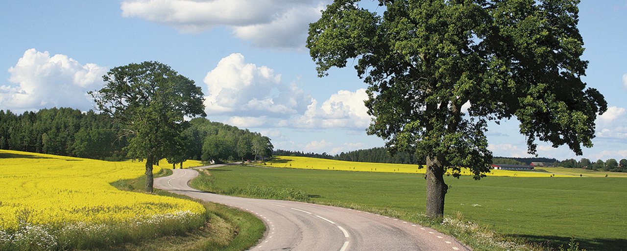 Skolbanken · Anläggning- vägbyggnad-byggmaterial