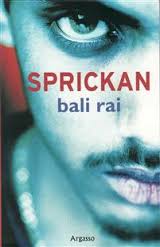 Skolbanken · Samtal och textproduktion med inspiration av boken ...