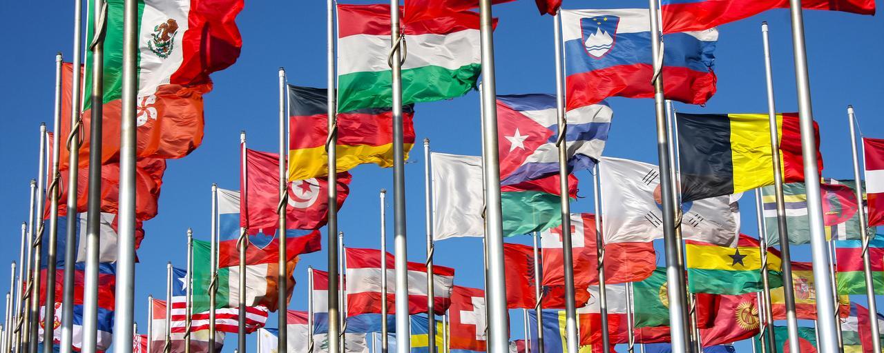 Skolbanken · Introduktion - Internationella systemet och folkrätt