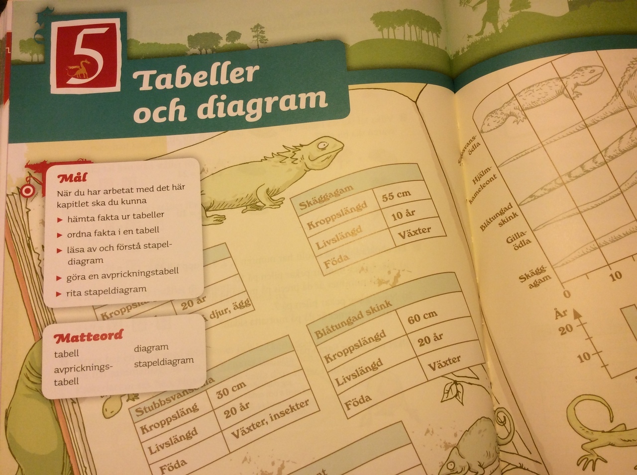 Skolbanken · Söra46 Matteborgen 4A kapitel 5- Tabeller och diagram