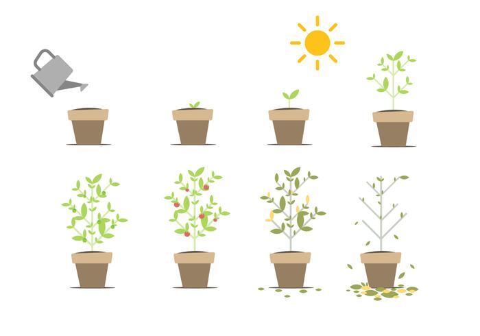 Pedagogisk planering i Skolbanken: Plantera