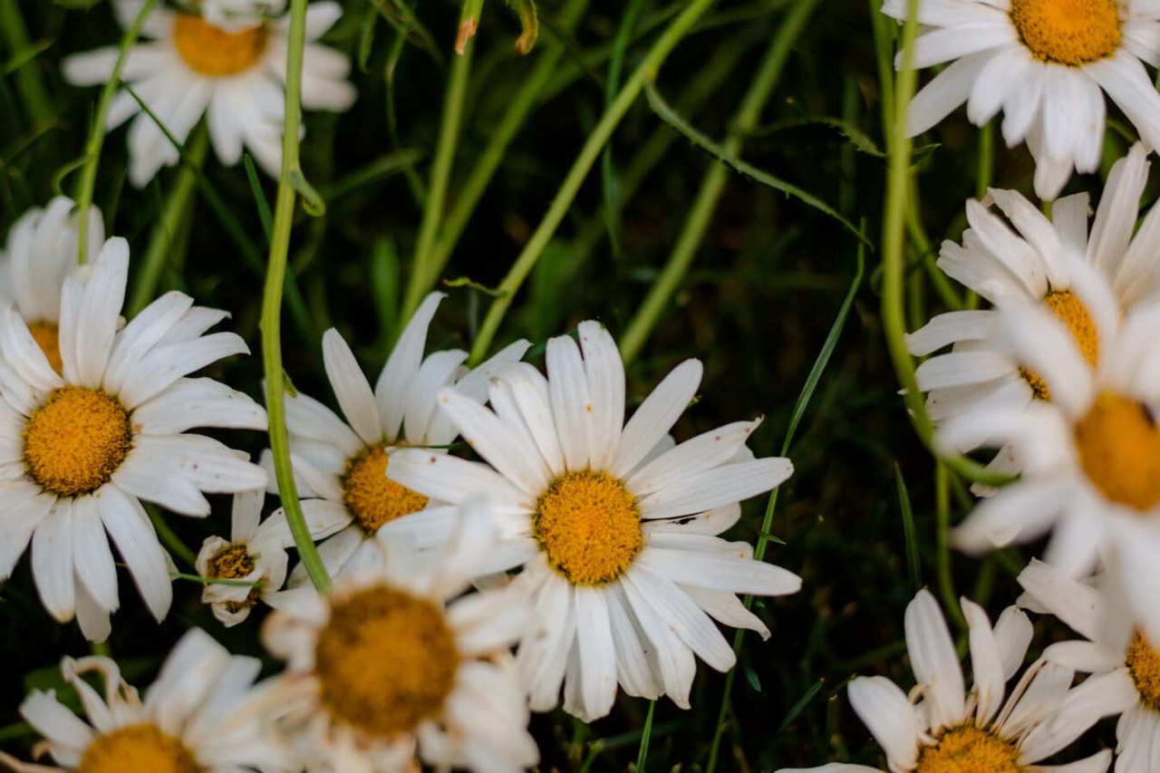 Skolbanken · NO 6de 21/22 (AP)