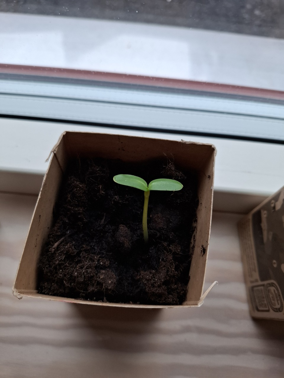 Skolbanken · Utbildningsplan Nygårdens förskola HT25