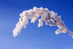 Skolbanken · Tema vinter