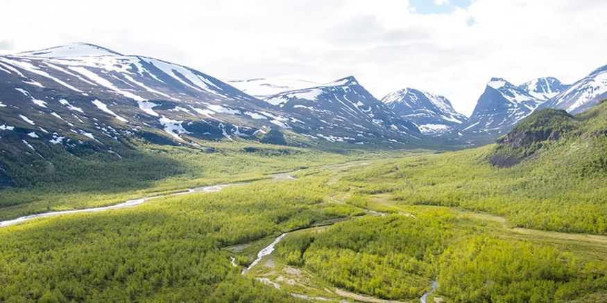 Skolbanken · Europas sista vildmark?