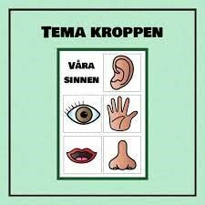Skolbanken · Tema kroppen - våra sinnen 1-3