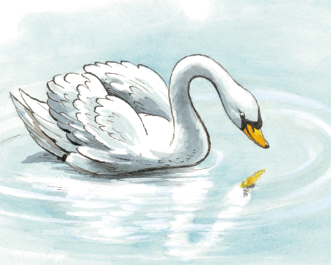 Skolbanken · Den fula ankungen 4-6