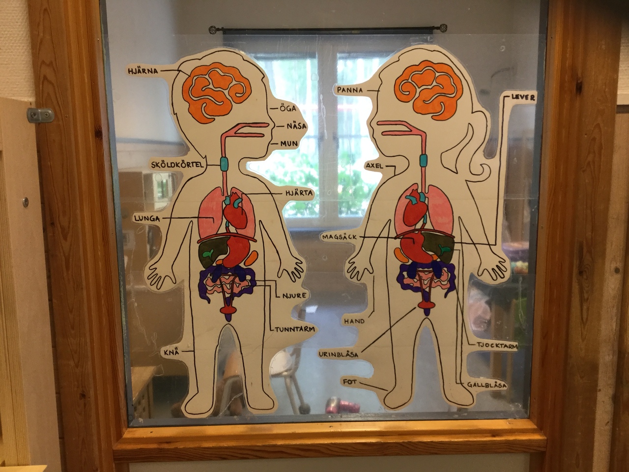 Skolbanken · Tema Kroppen på Bullerbyn