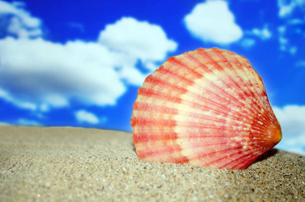 Skolbanken · Kapitel 3 a, b, c