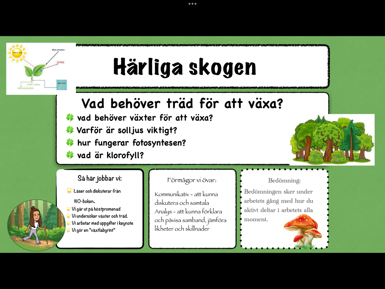 Skolbanken · Skogen