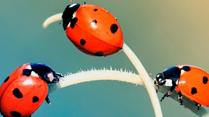 Skolbanken · Matematik Gleerups portal - Tal och enheter