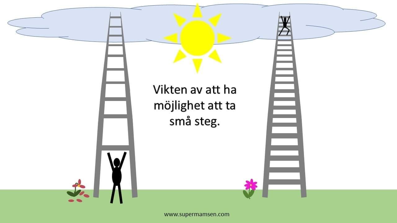 Skolbanken · Den proximala utvecklingszonen